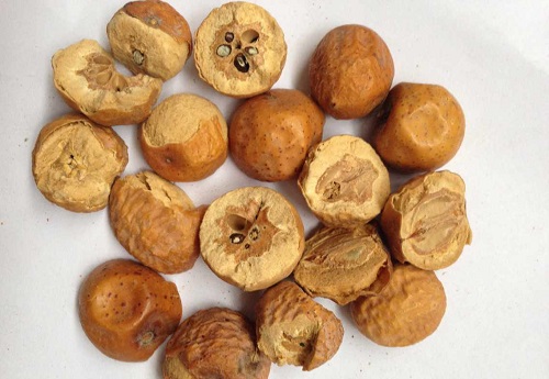 川楝子 Melia toosendan Sieb. et Zucc 50307 | TCM TaiPei Medicine Kedai ...